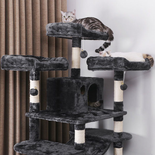 Tucker Murphy Pet™ 62" Champlain Cat Tree & Reviews - Wayfair Canada