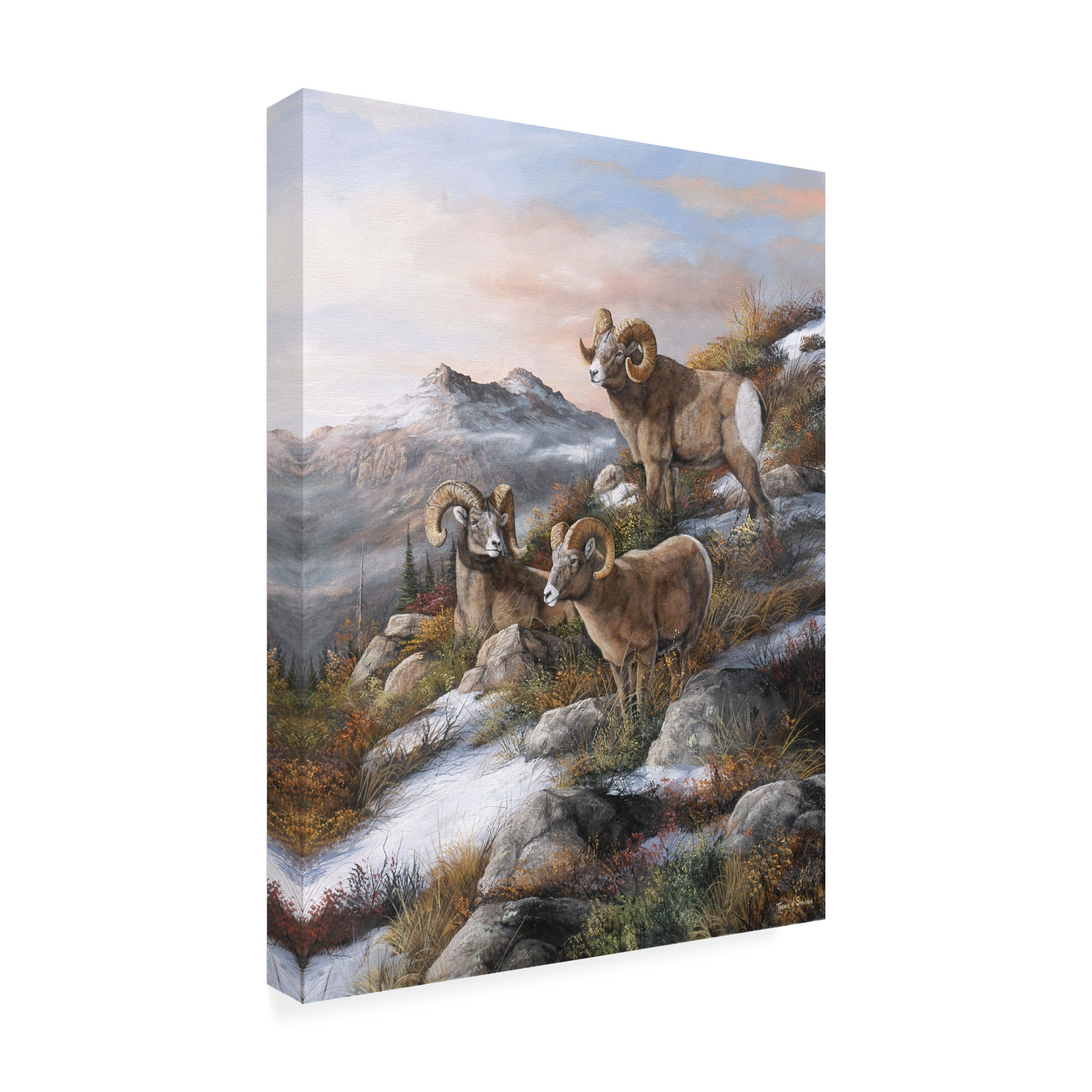 Winston Porter High Country Kings On Canvas by Trevor V. Swanson Print ...
