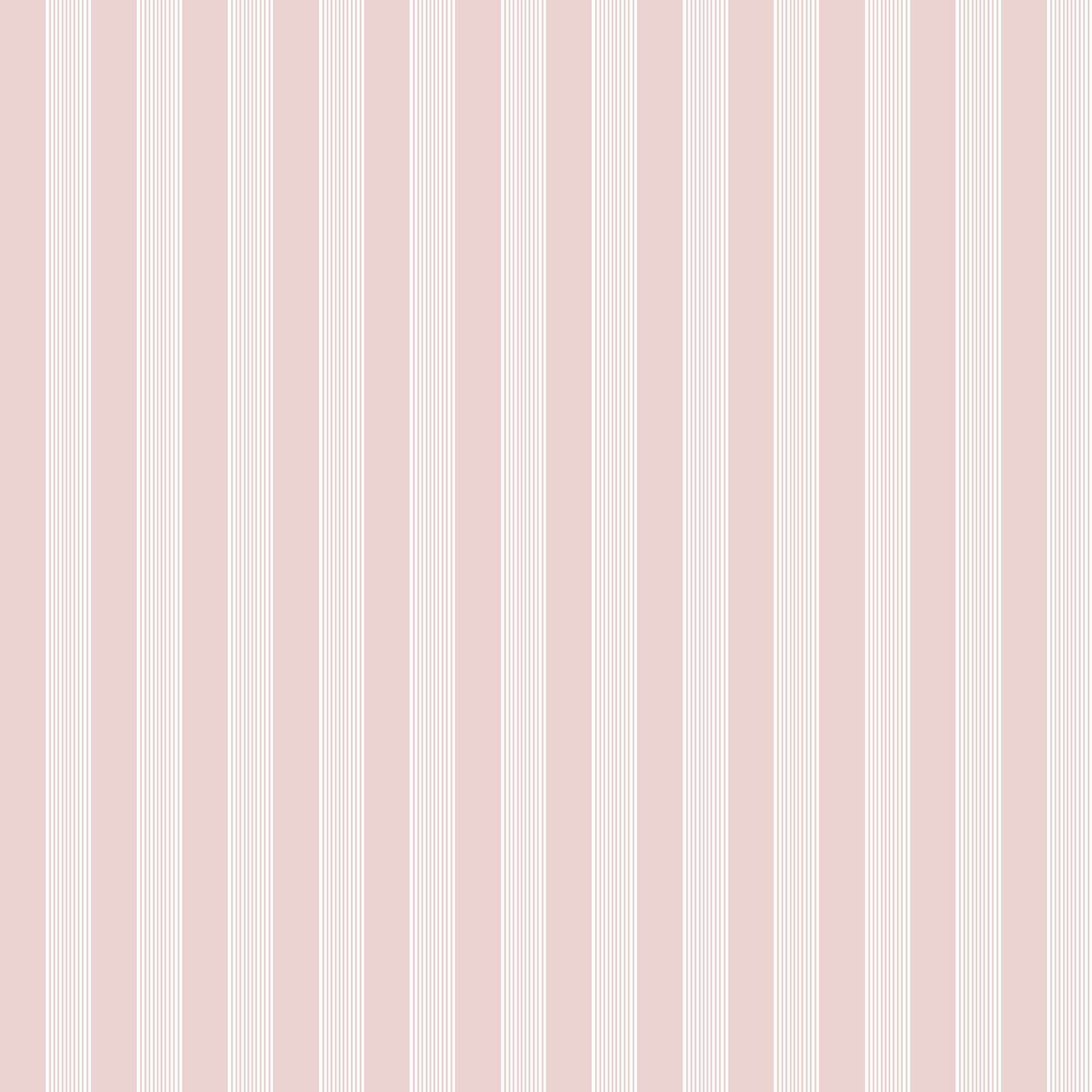 17 Stories Nerijus Little Explorers 2 Vertical Ribbon Wallpaper Roll ...