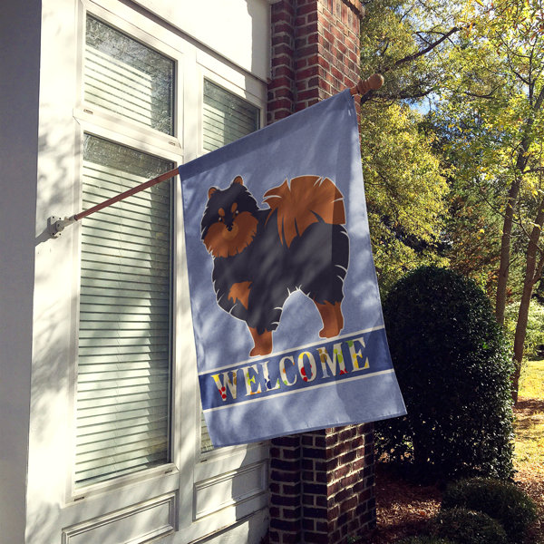 Caroline's Treasures Double Sided 40'' H x 28'' W Polyester Dog House ...