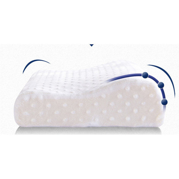 Alwyn Home Memory Foam Plush Pillow | Wayfair