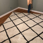 George Oliver Finkle Flatweave Performance Ivory/Charcoal Rug & Reviews ...