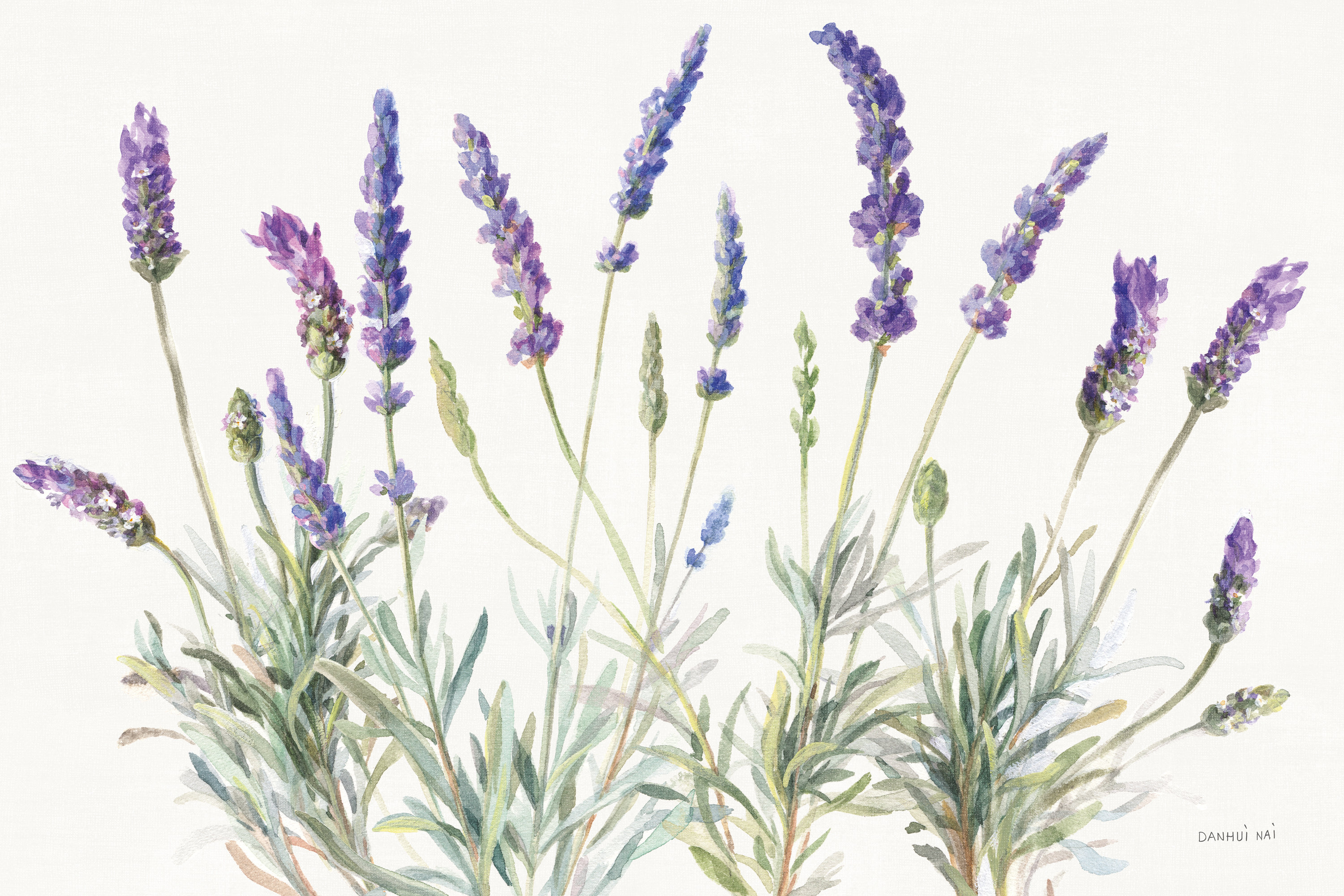 Ophelia & Co. Cirrus Floursack Lavender V On Linen On Canvas Print ...