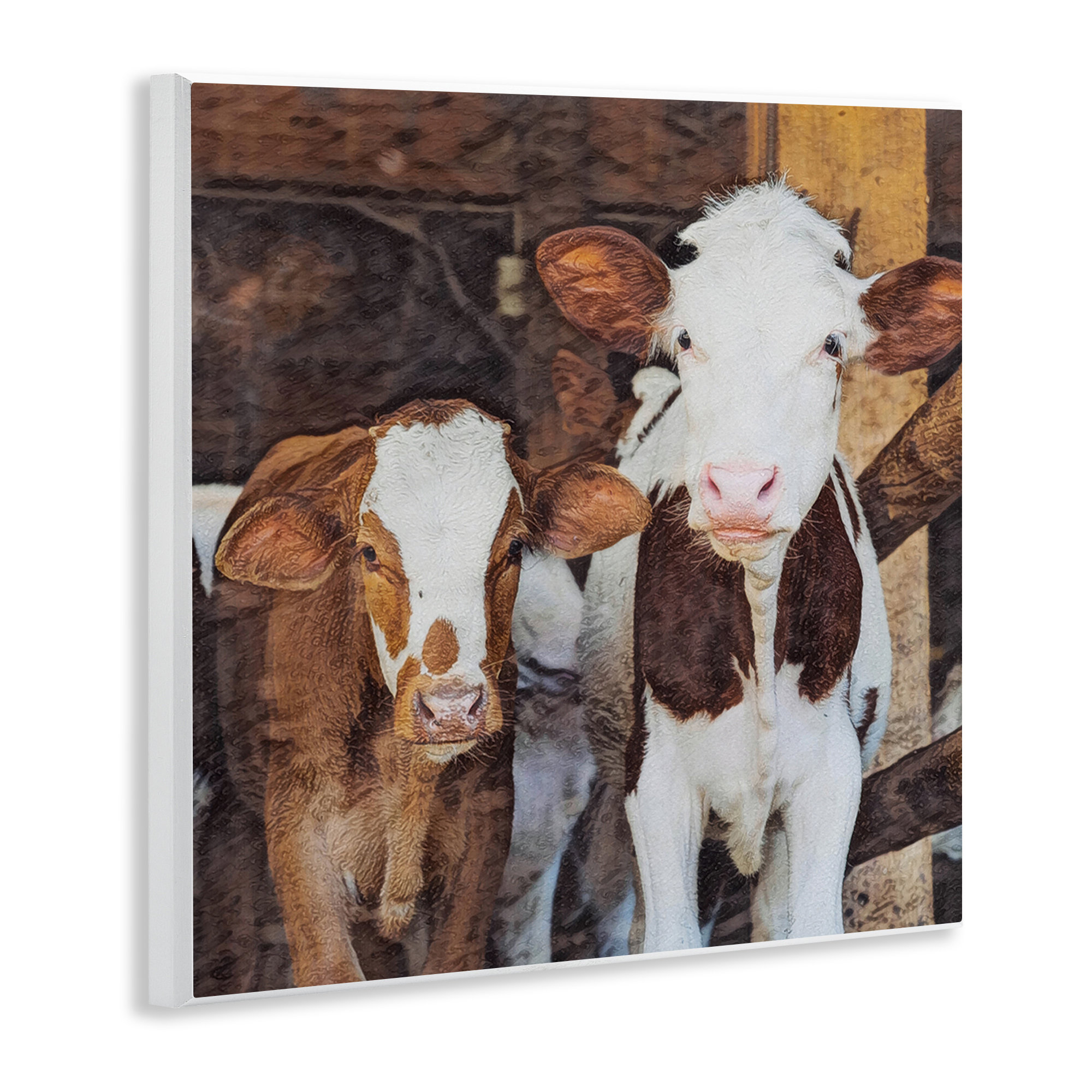 Stupell Industries Baby Cows on Farm Wall Plaque Art by Sundance Group ...