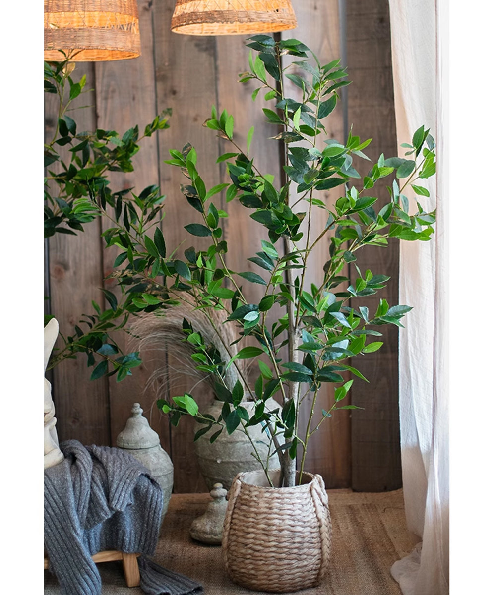Stella Trek Artificial Bay Tree Green Plant Pot | Wayfair