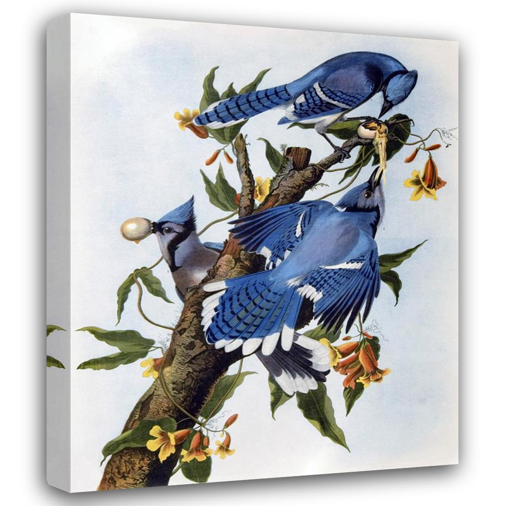Winston Porter Blue Jay - Wayfair Canada