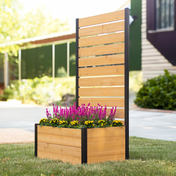 Enclo (1 Screen w/Planter) Freestanding Enclo Concord Cedar Wood ...