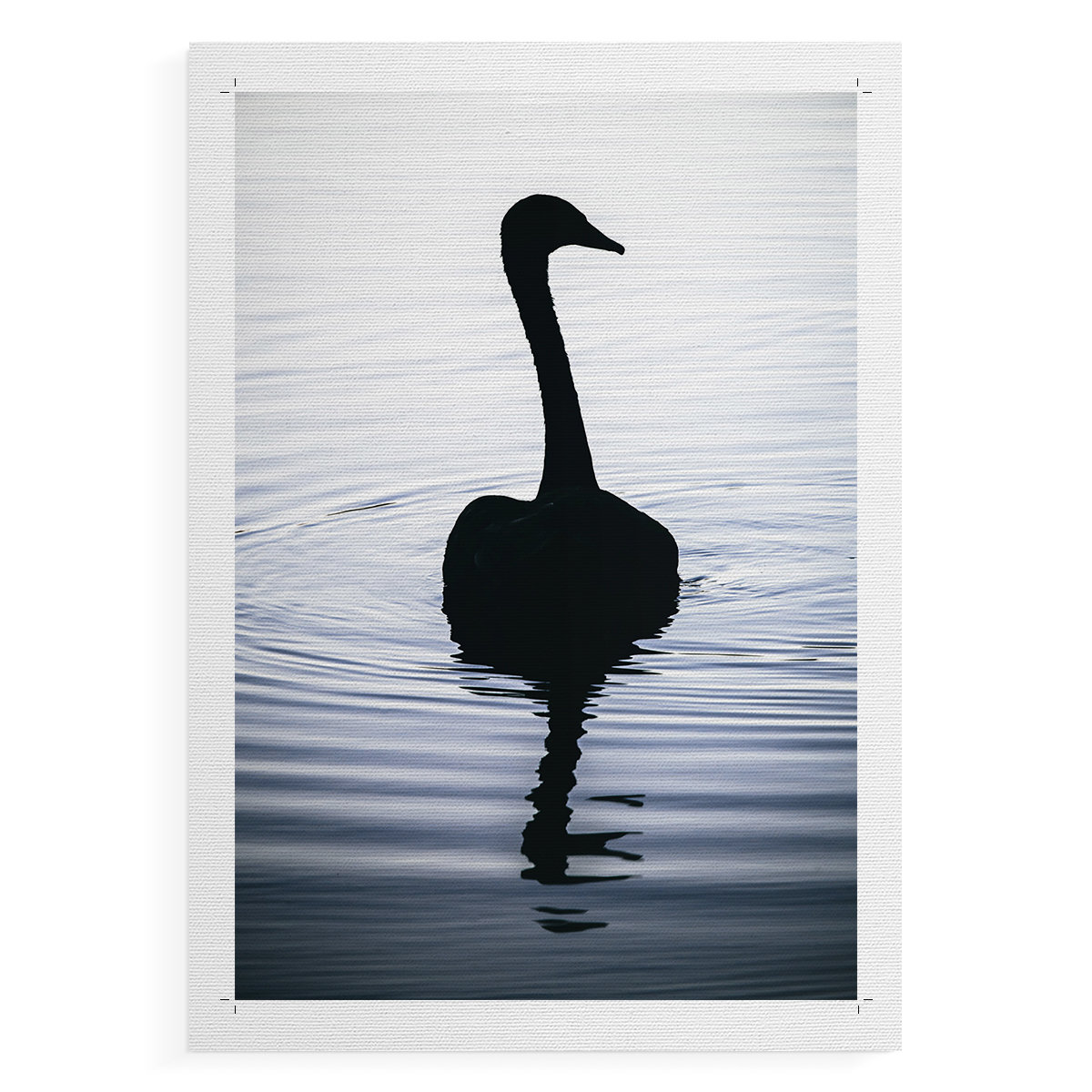 Alcott Hill Afternoon Dip -Canvas Print Only - NOT FRAMED - Wayfair Canada