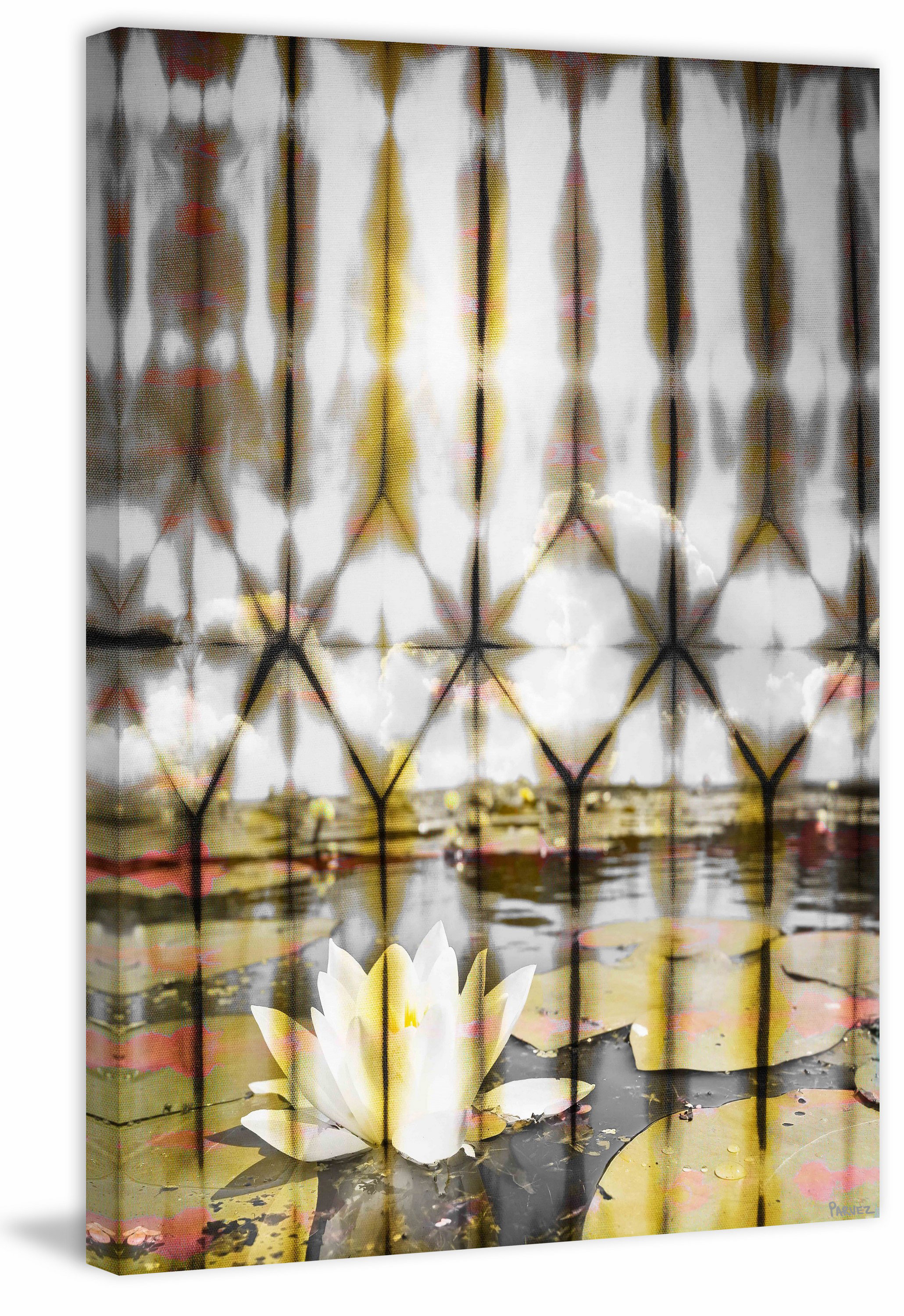 Parvez Taj 'Shining' by Parvez Taj - Warpped Canvas Photographic Print ...