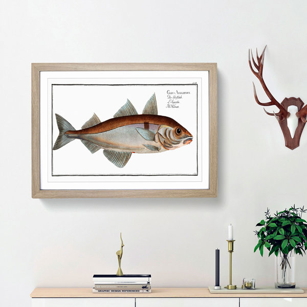 East Urban Home Haddock Fish by M.E. Bloch - Picture Frame Painting ...