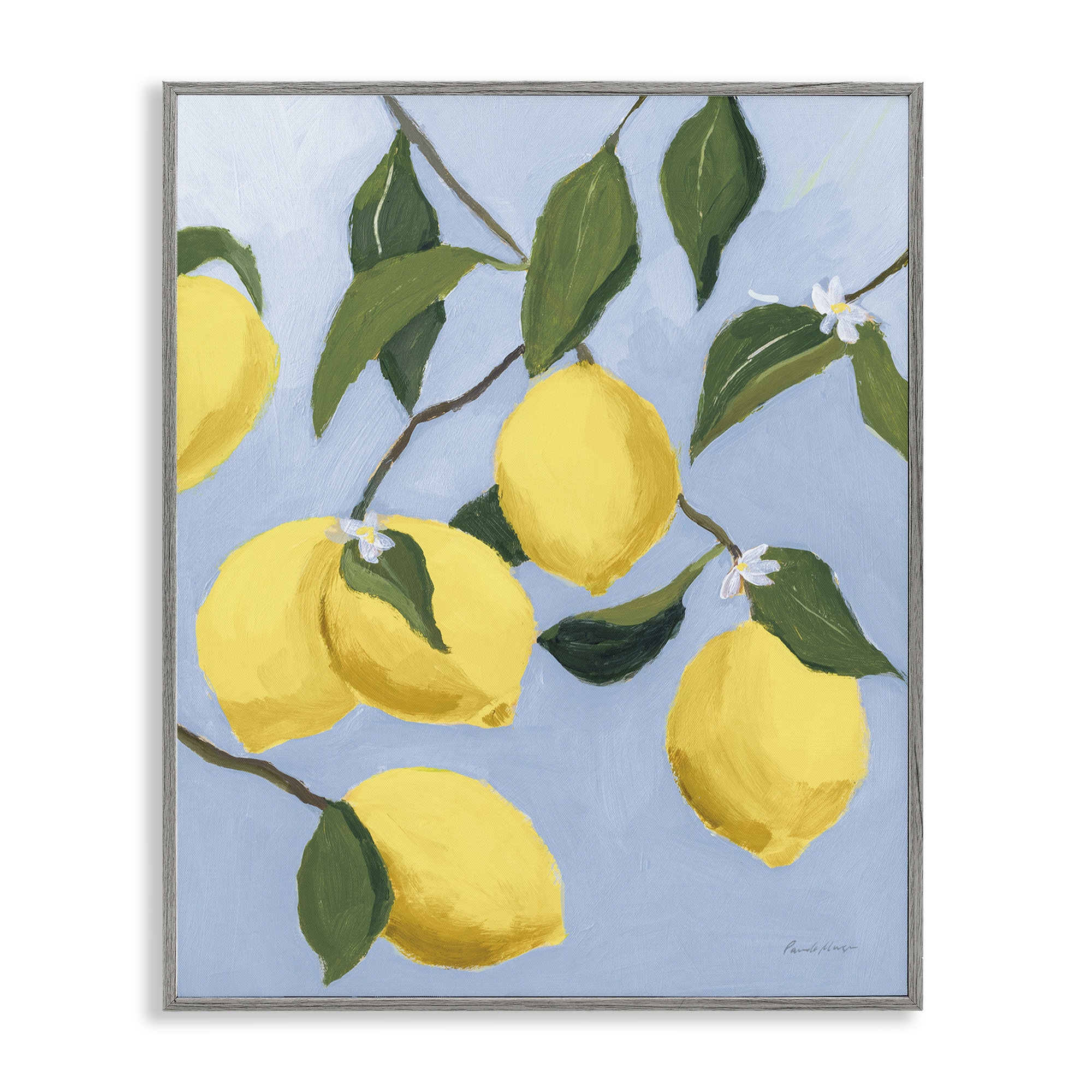 Stupell Industries Winding Lemon Tree Framed Giclee Art by Pamela ...