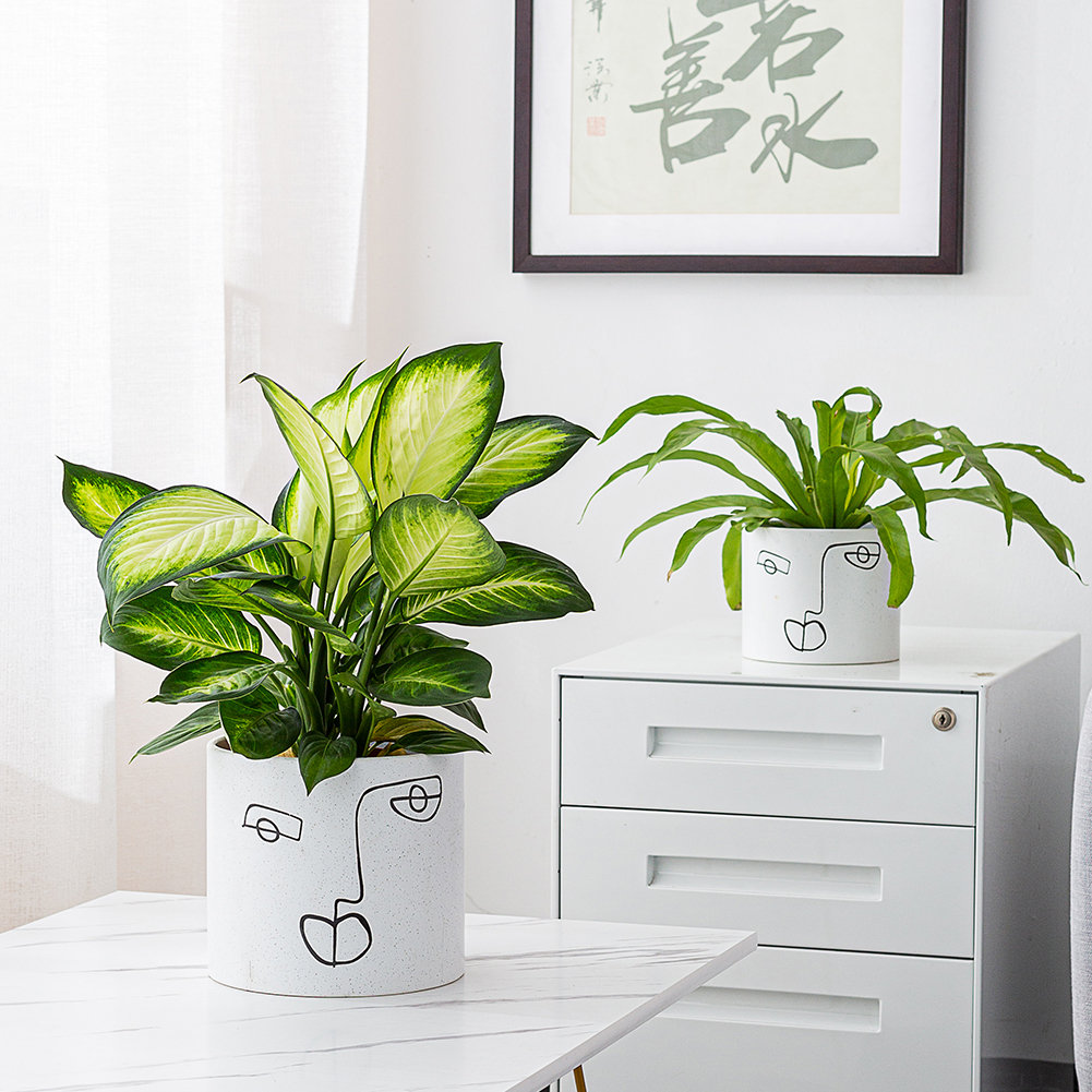 Kimisty 2 - Piece Ceramic Pot Planter | Wayfair
