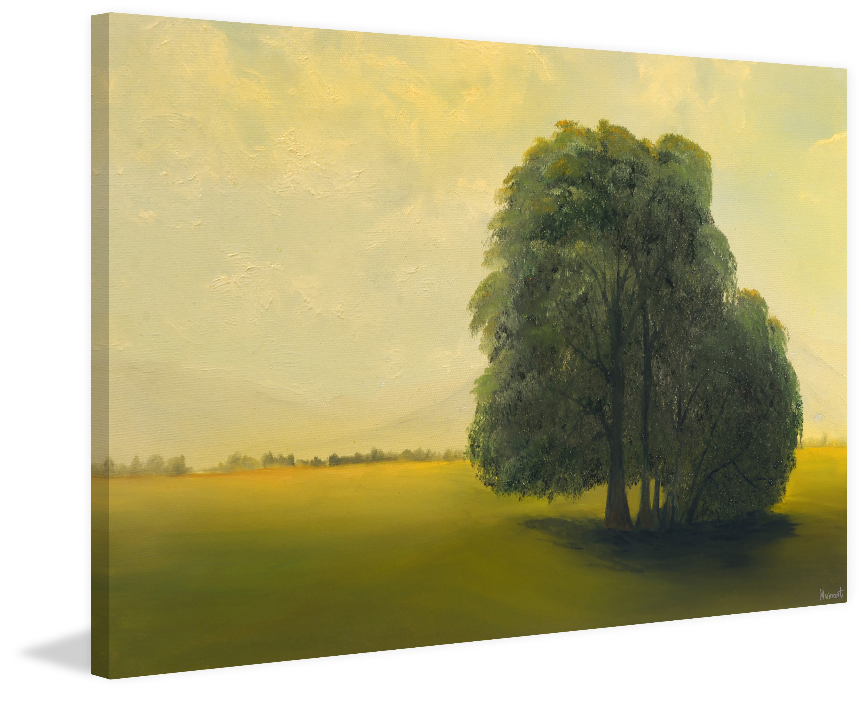 Red Barrel Studio ''Green Fields And Lone Tree'' Print On Wrapped ...