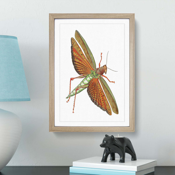 East Urban Home Imperial Locust by George Shaw - Picture Frame Graphic ...