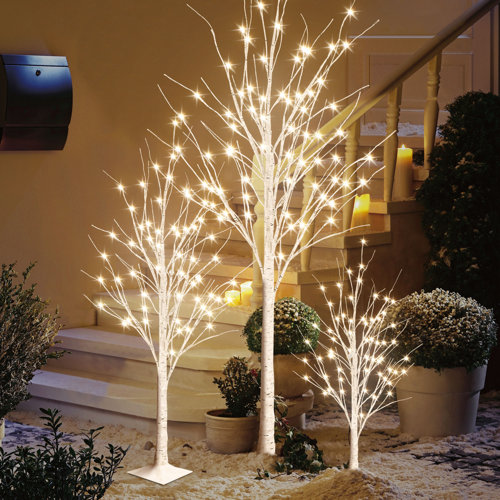 Lighted Twig & Birch Trees You'll Love | Wayfair