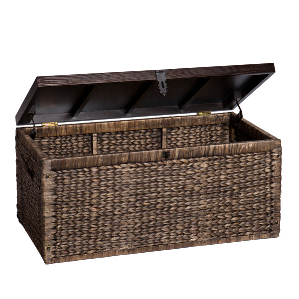 Bay Isle Home™ Weyauwega Water Hyacinth Storage Trunk & Reviews | Wayfair