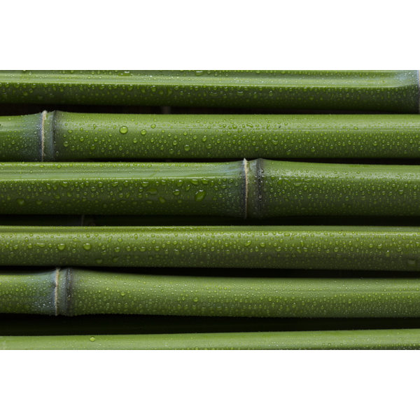 Bay Isle Home Bamboo Sticks Background by ALEAIMAGE - No Frame Art ...