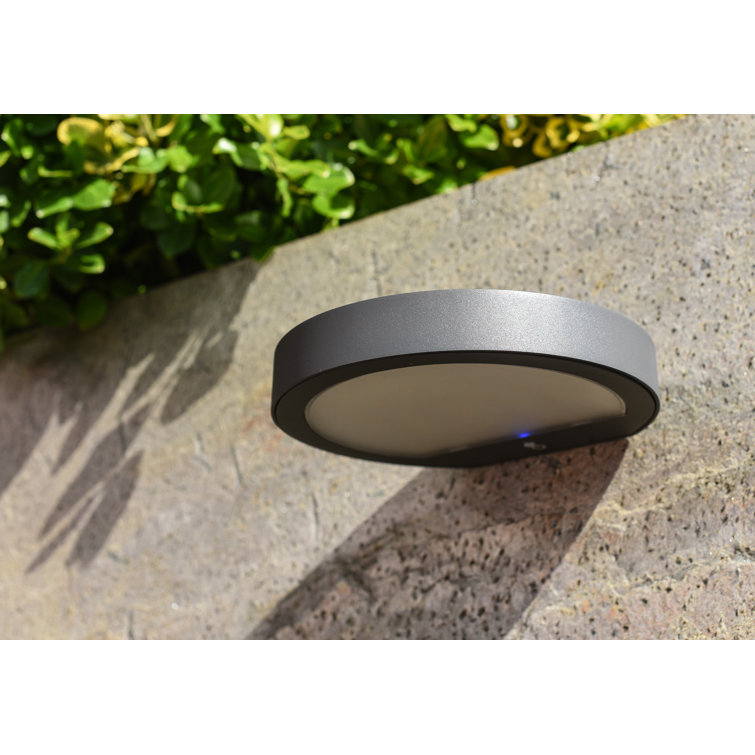 17 Stories Matte Black 3cm H Solar Powered Integrated LED Outdoor ...