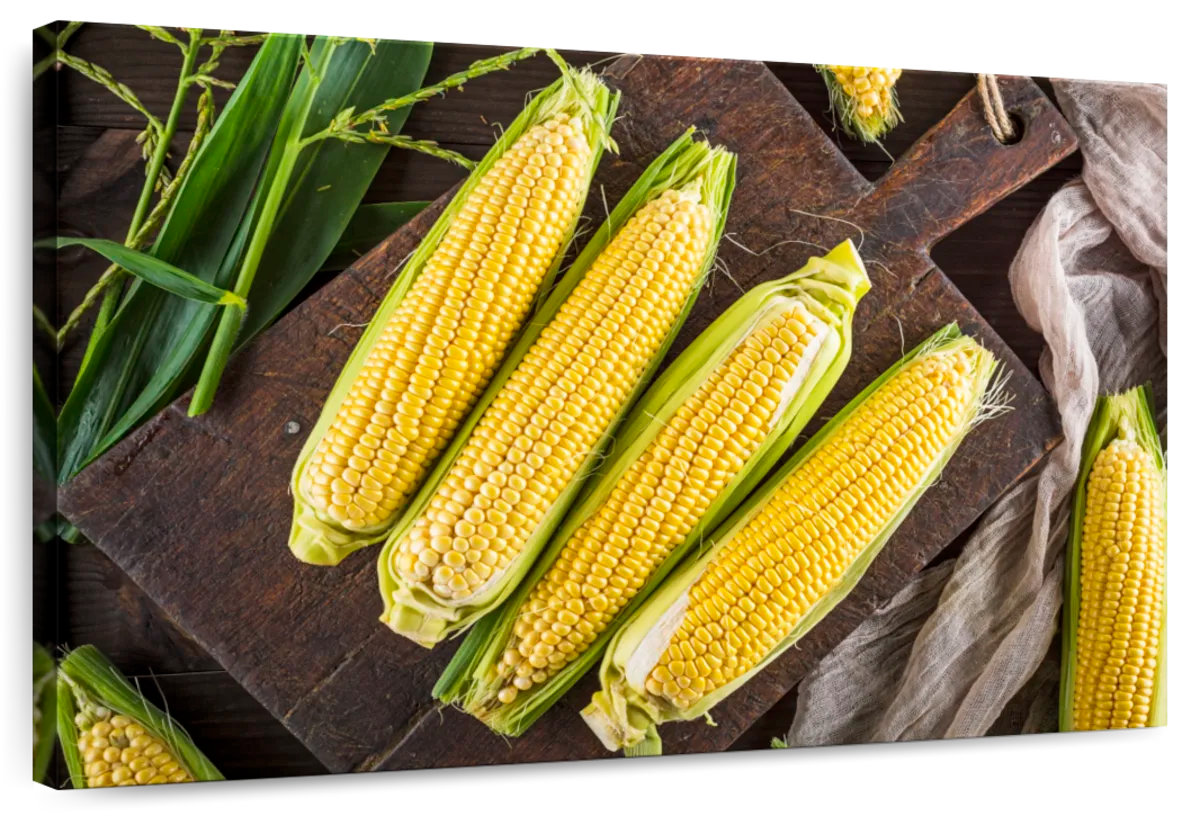 Elephant Stock Corn Cobs | Wayfair