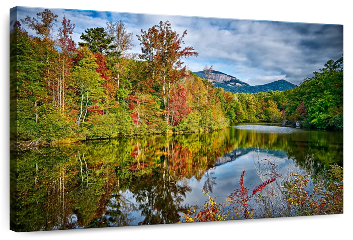 Millwood Pines Alvord Fall At Lake Jocassee | Wayfair
