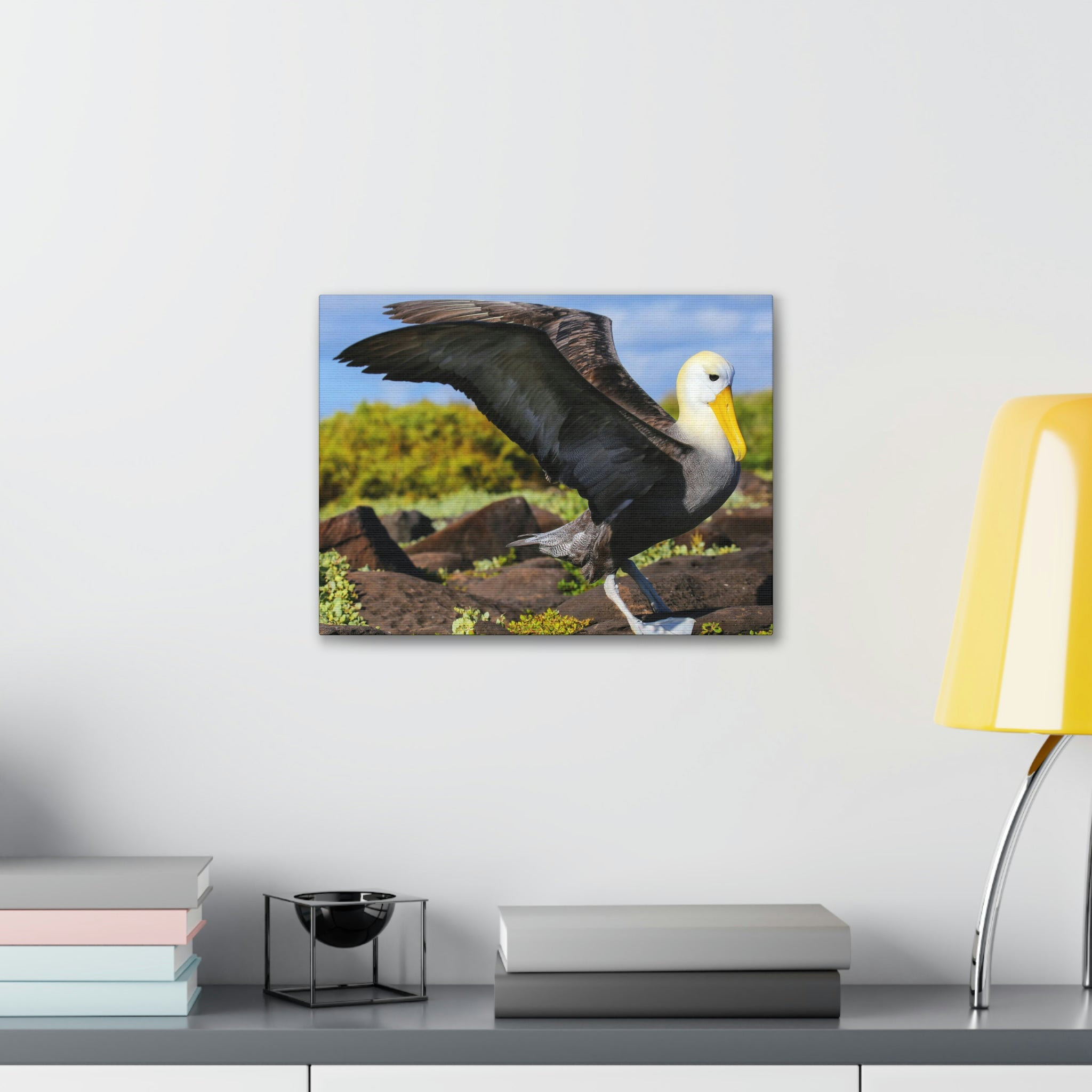 Beachcrest Home Majestic Albatross Art Majestic Albatross Print Animal ...