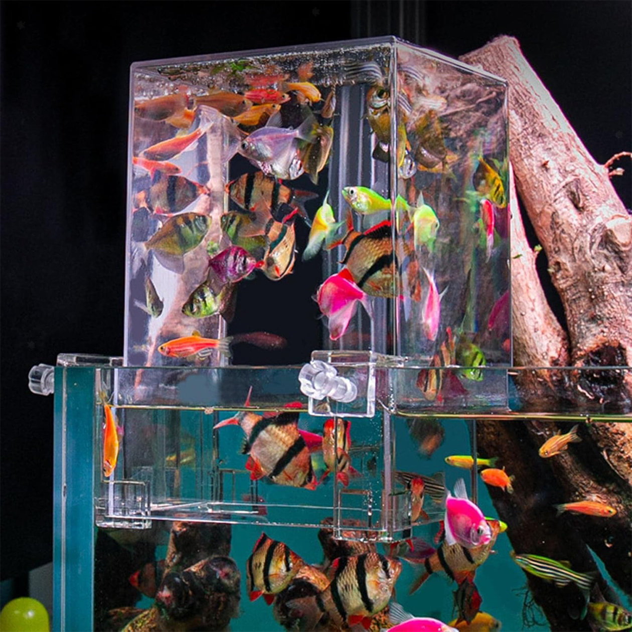 Tucker Murphy Pet™ Increase Fish Activity Area,Vacuum Suspended Fish ...