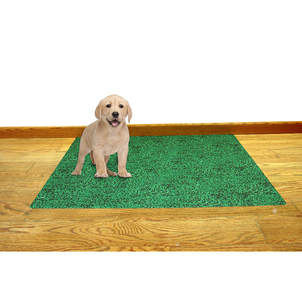 Drymate Washable Pee Pad for Dogs - Waterproof, Absorbent, Non-Slip ...