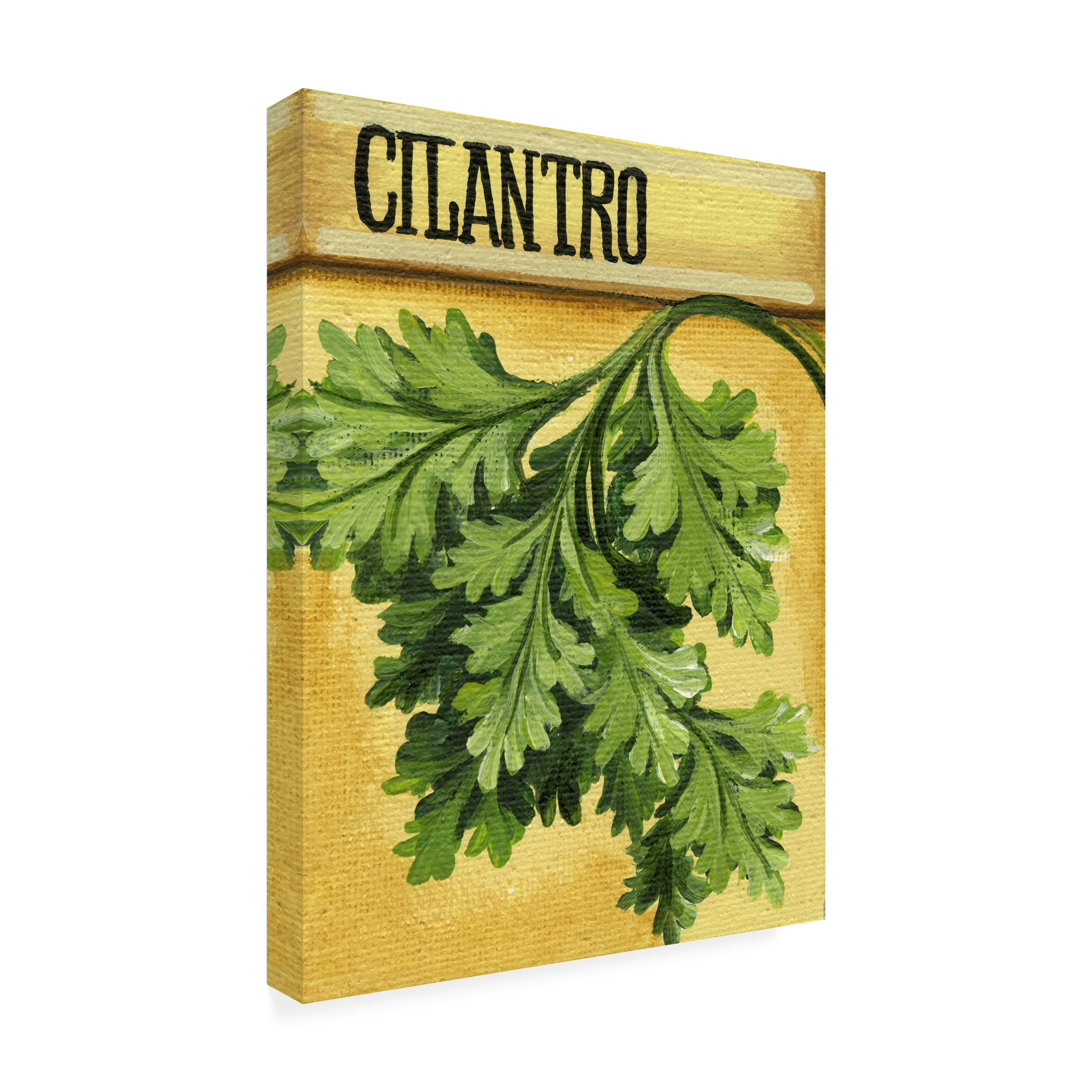 Winston Porter Debbi Wetzel Seed Packets 17 - Cilantro Canvas Art ...