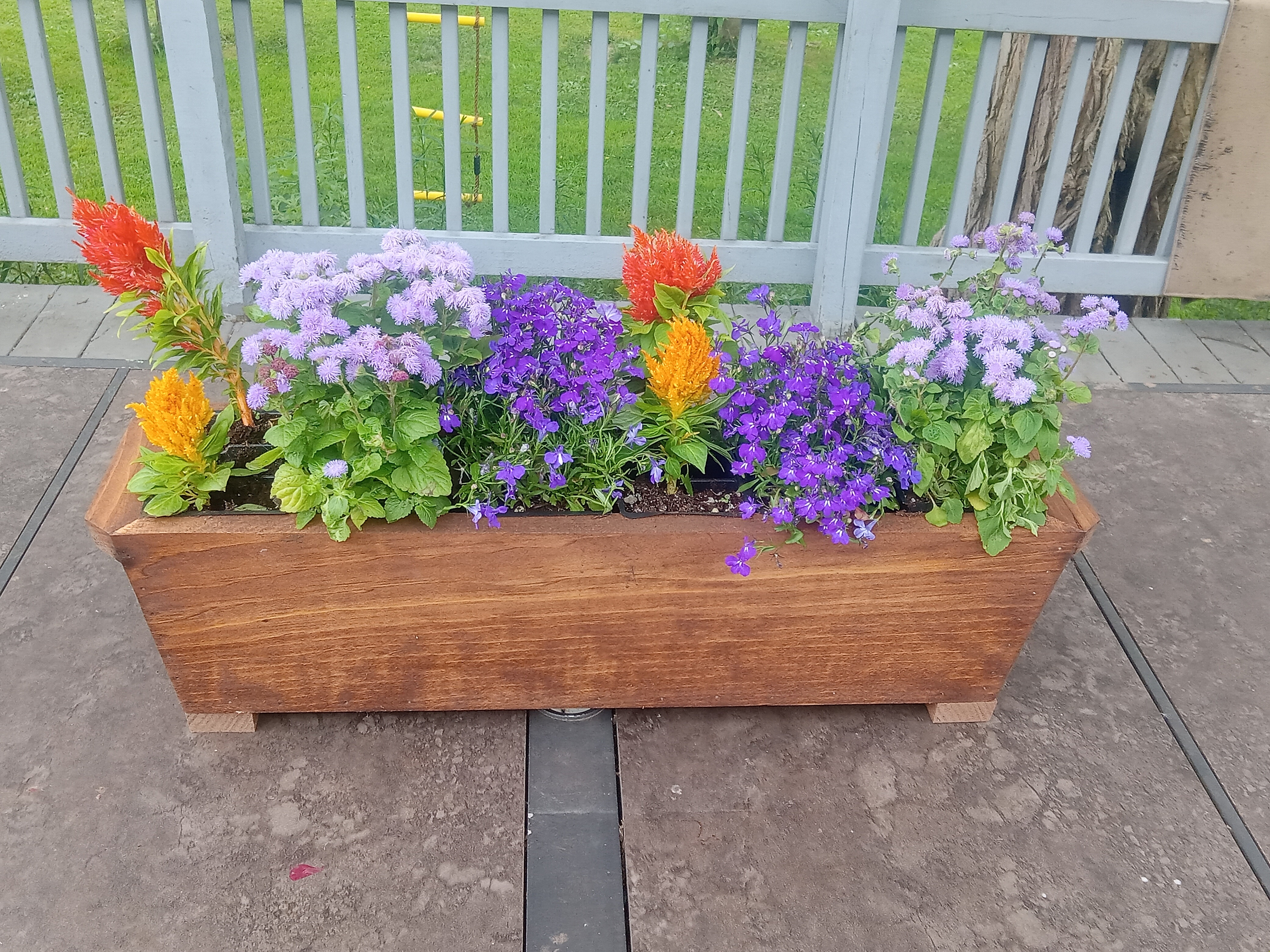 Millwood Pines Darinka Wood Planter Box - Wayfair Canada