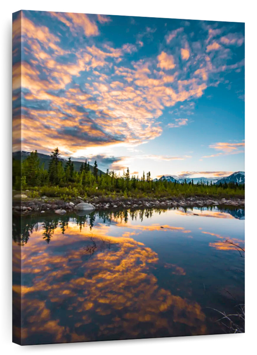 Elephant Stock Alaskan Evening | Wayfair