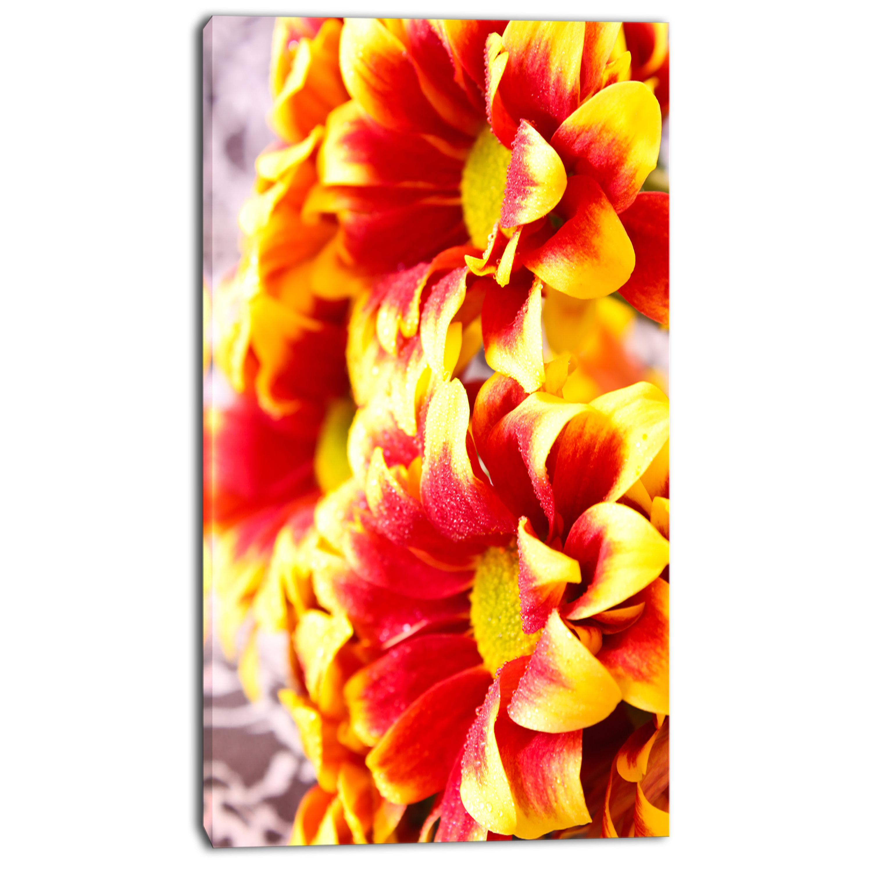 Design Art Red Yellow Flower Background Photo - Wrapped Canvas ...