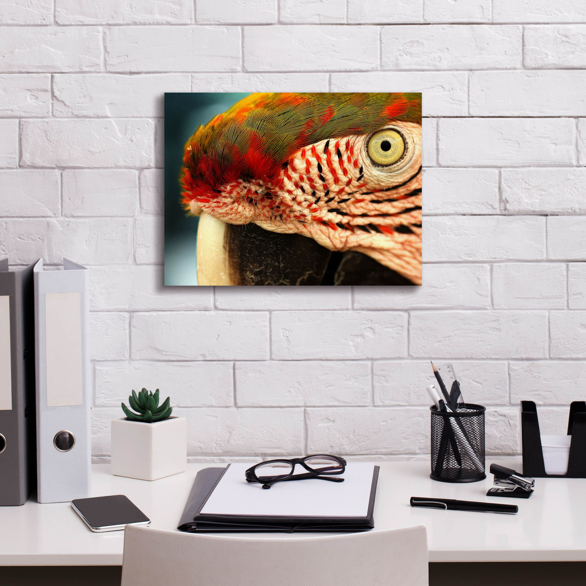 Rosecliff Heights Xaverius Red Barrel Studio 'Polly' By Dana Brett ...