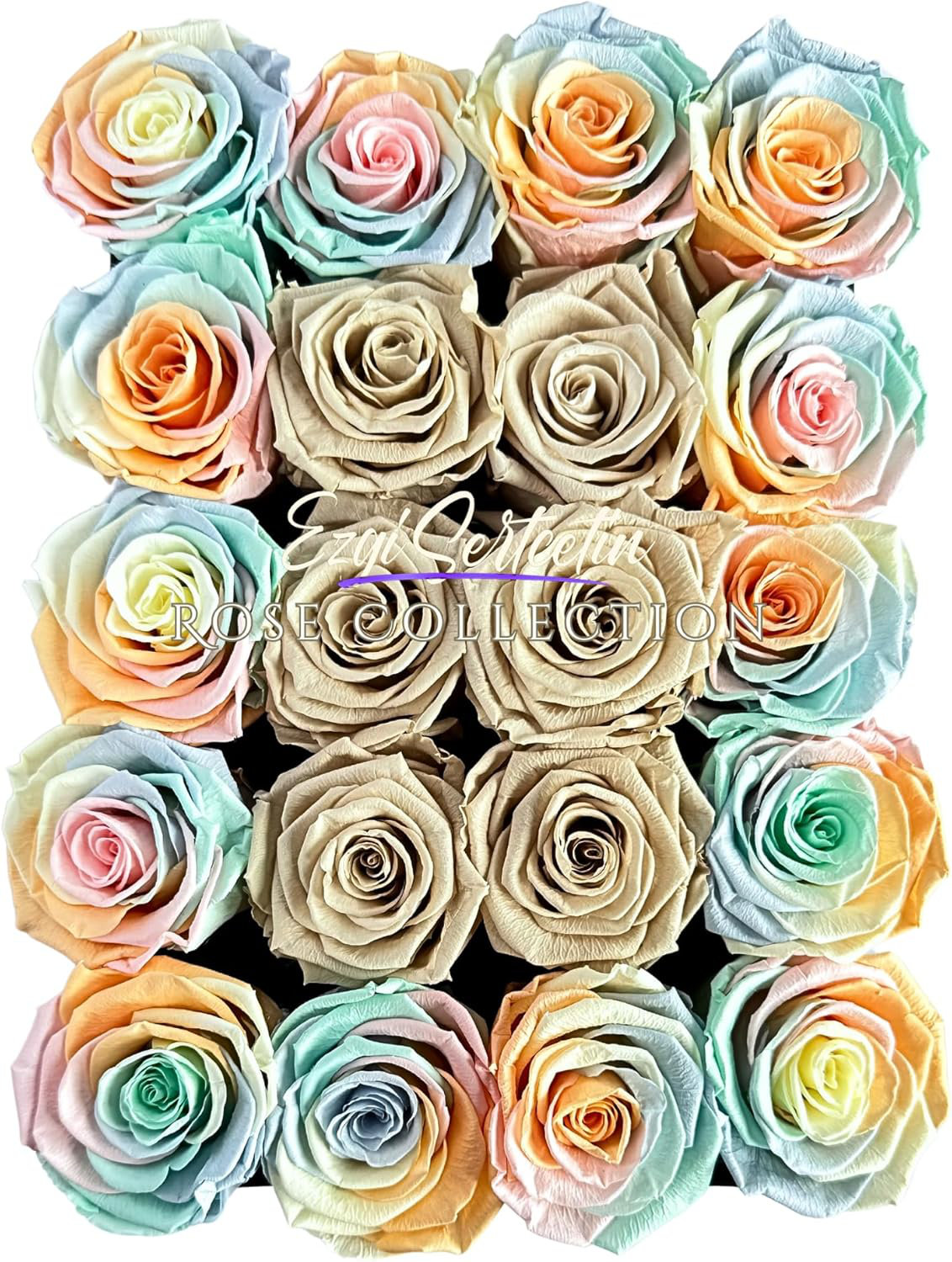 Rebrilliant Preserved Rose Deco Gift Box|Premium Quality Handcrafted 20 ...