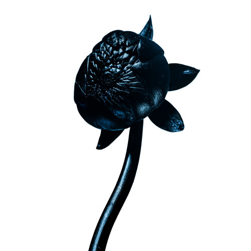 Art at Home "Dahlia Bud" by Sivan Roshianu - Floral Photography ...