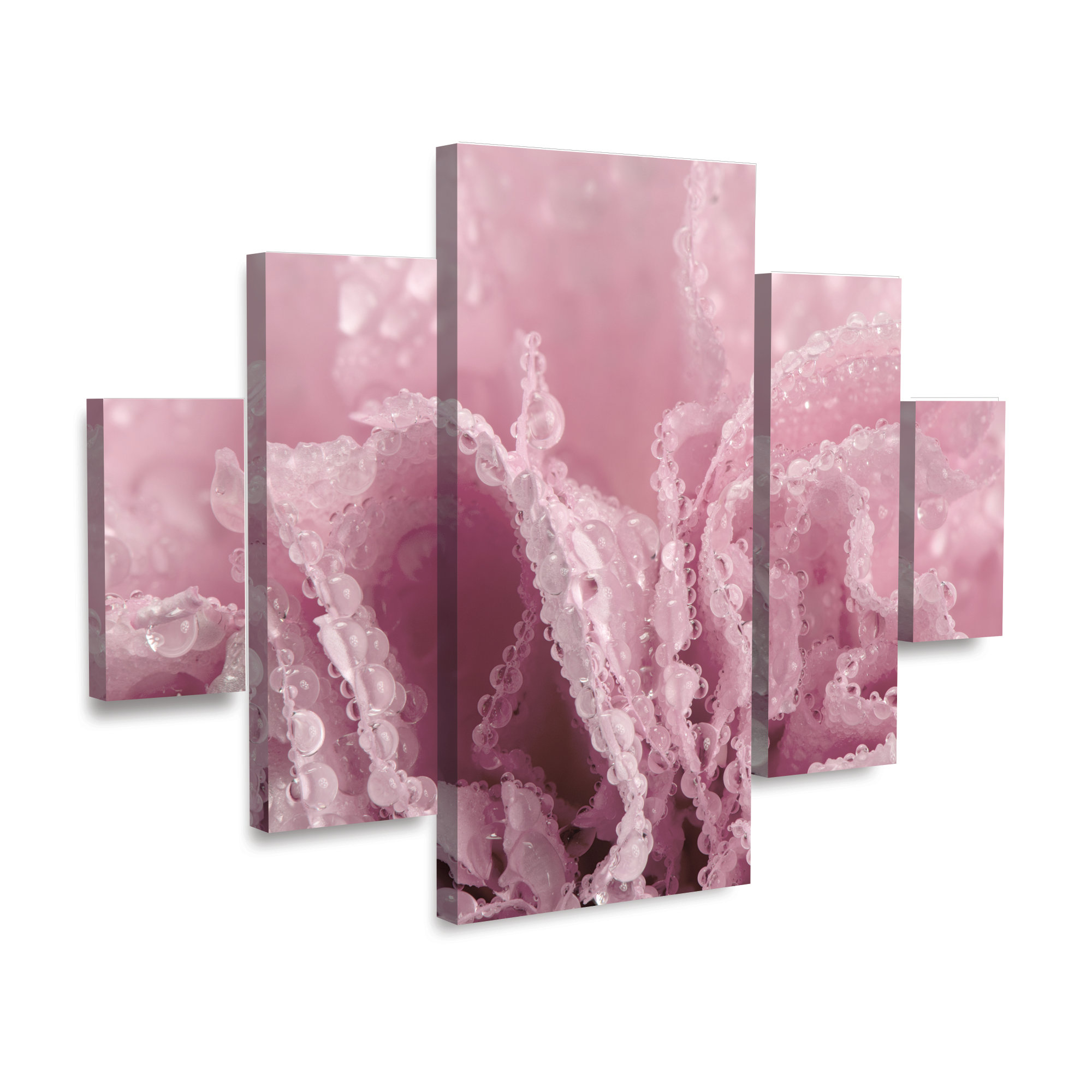 Red Barrel Studio Gordon Semmens Pink Carnation 04 5 Piece Panel Set ...