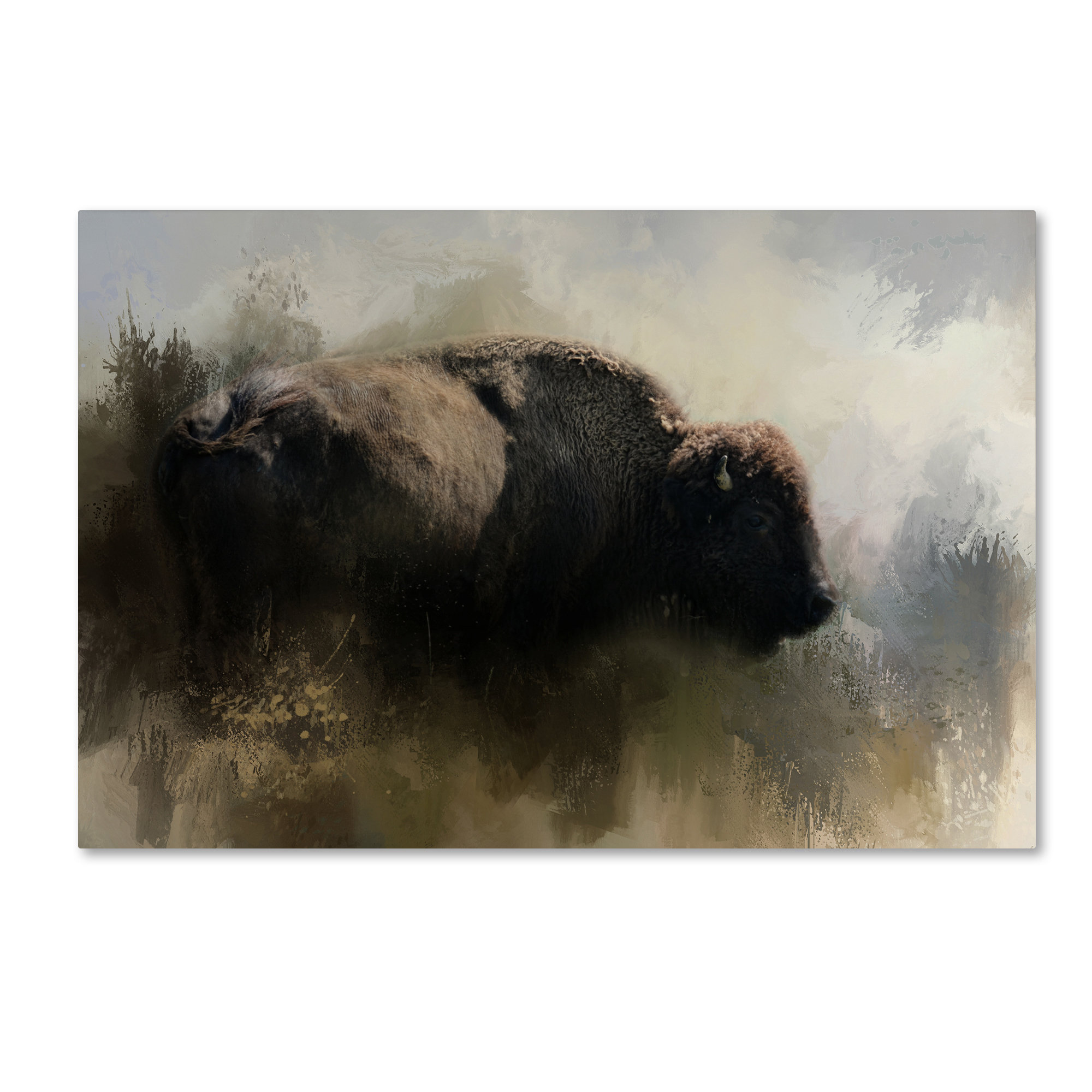 Trademark Fine Art 'Abstract American Bison' Graphic Art Print on ...