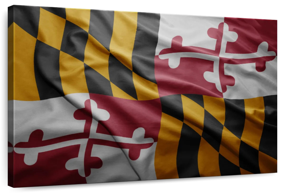 Elephant Stock Wavy Maryland Flag | Wayfair