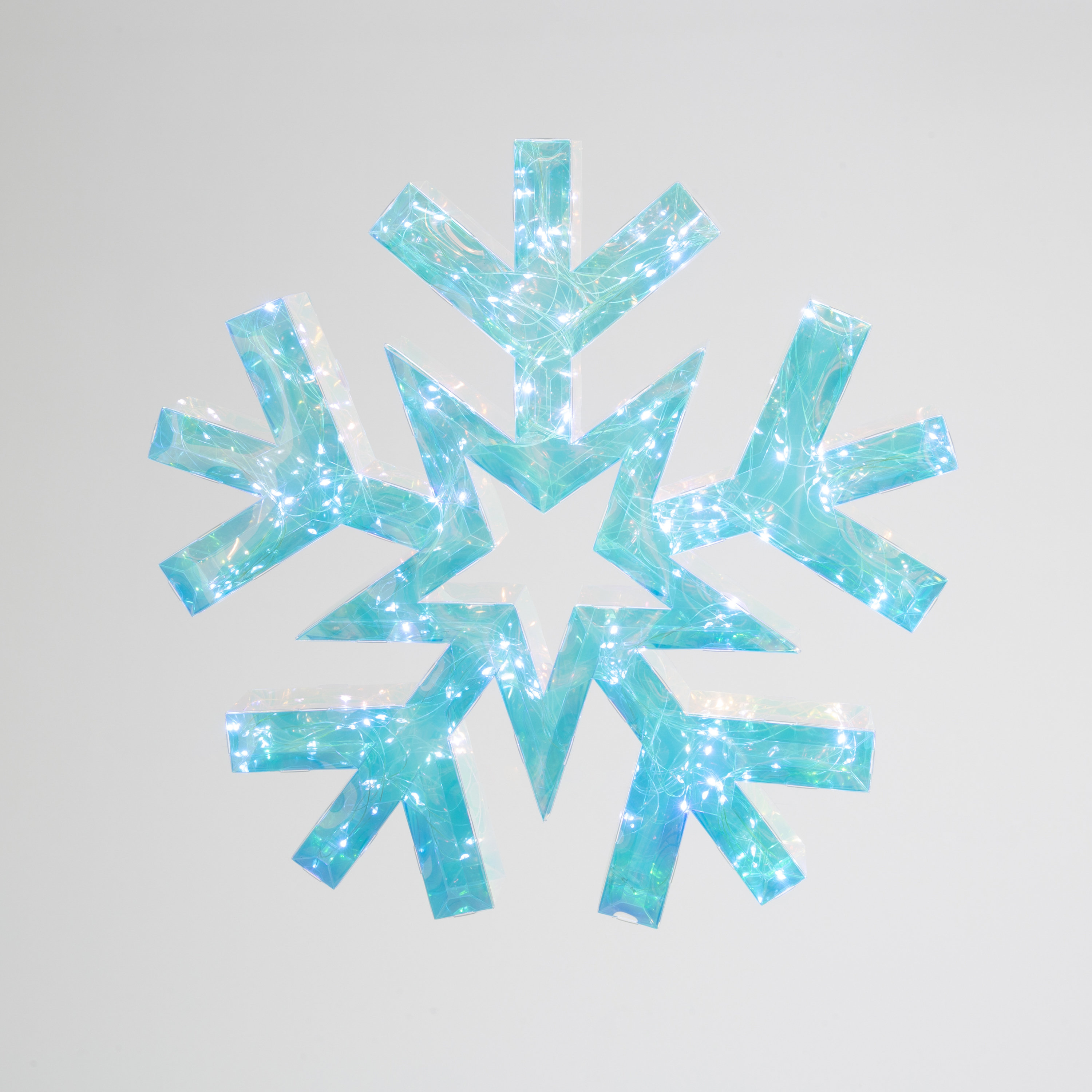 Ivy Bronx Stunning 18.3 Inch USB Electric Lighted Hanging Holographic ...