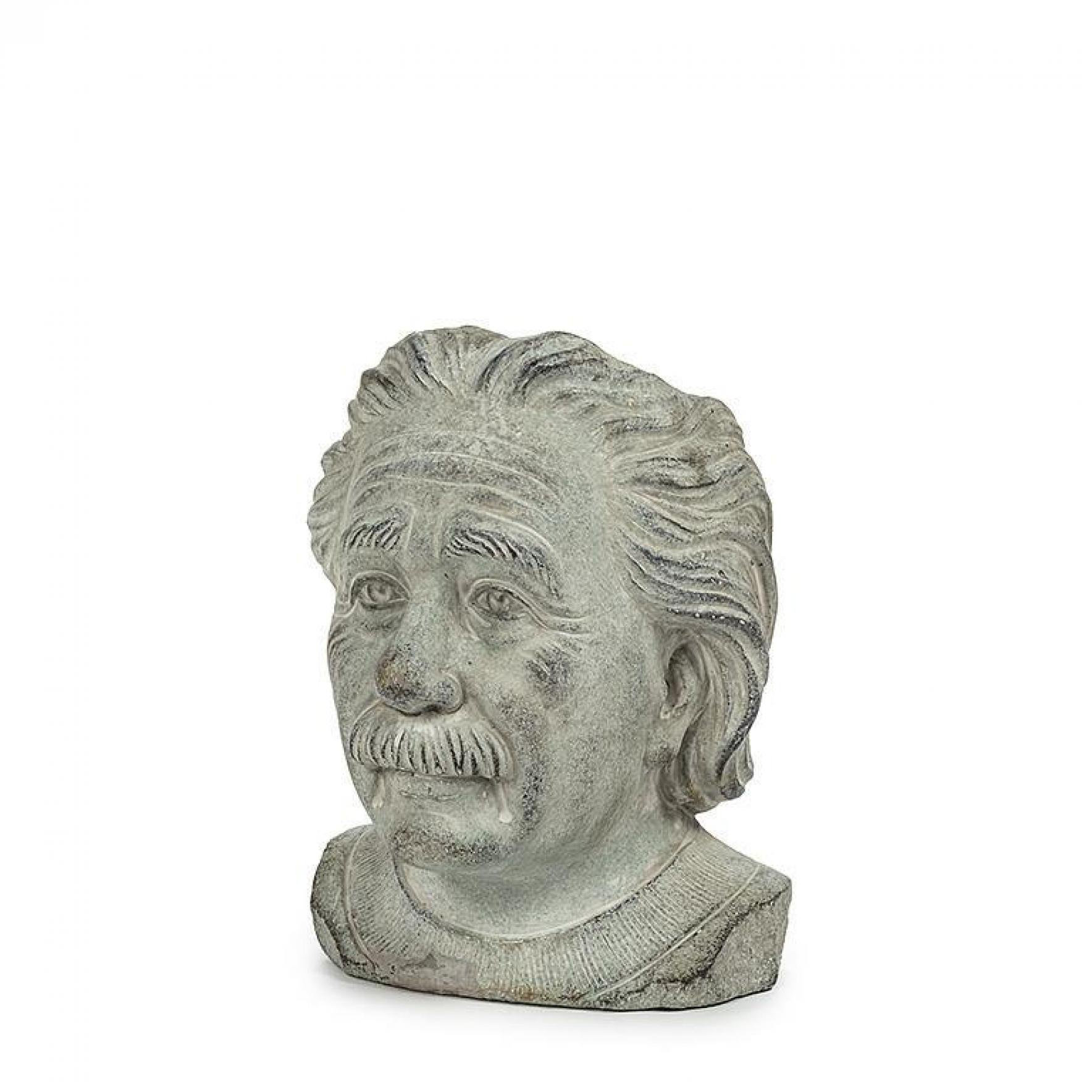 Red Barrel Studio Einstein Head Planter - Wayfair Canada