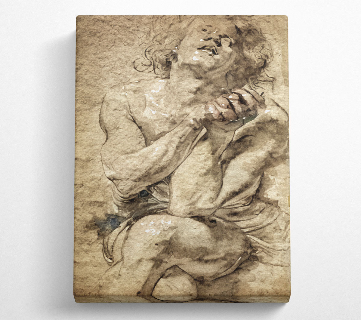 Astoria Grand Rubens Study Of Daniel In The Lions Den - Wrapped Canvas ...