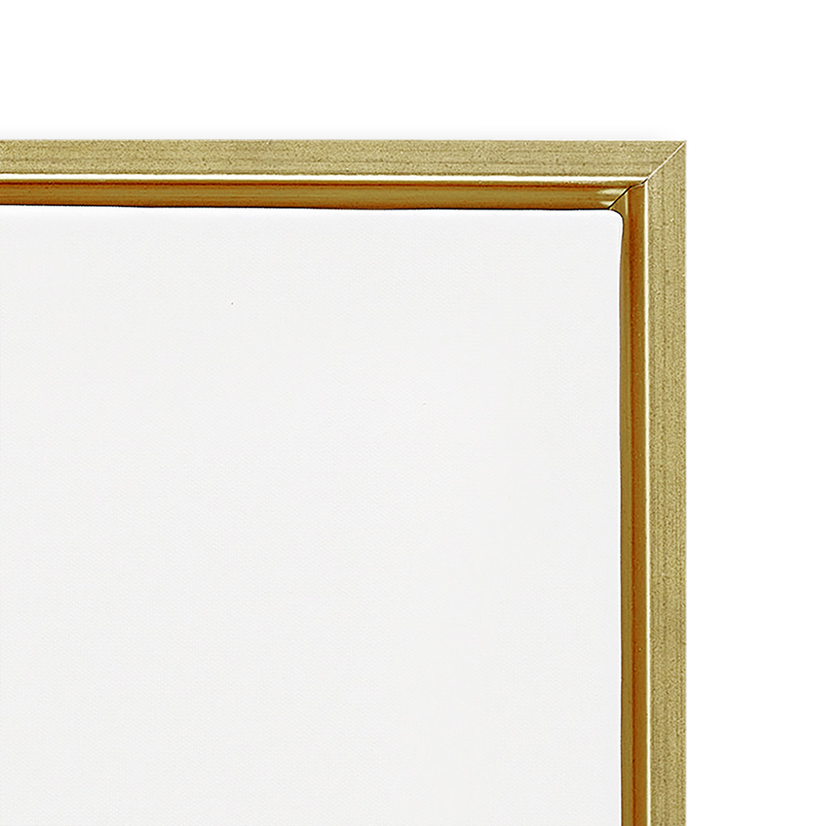 Dovecove Organic Oyster Shell Framed Floater Canvas Wall Art by ...