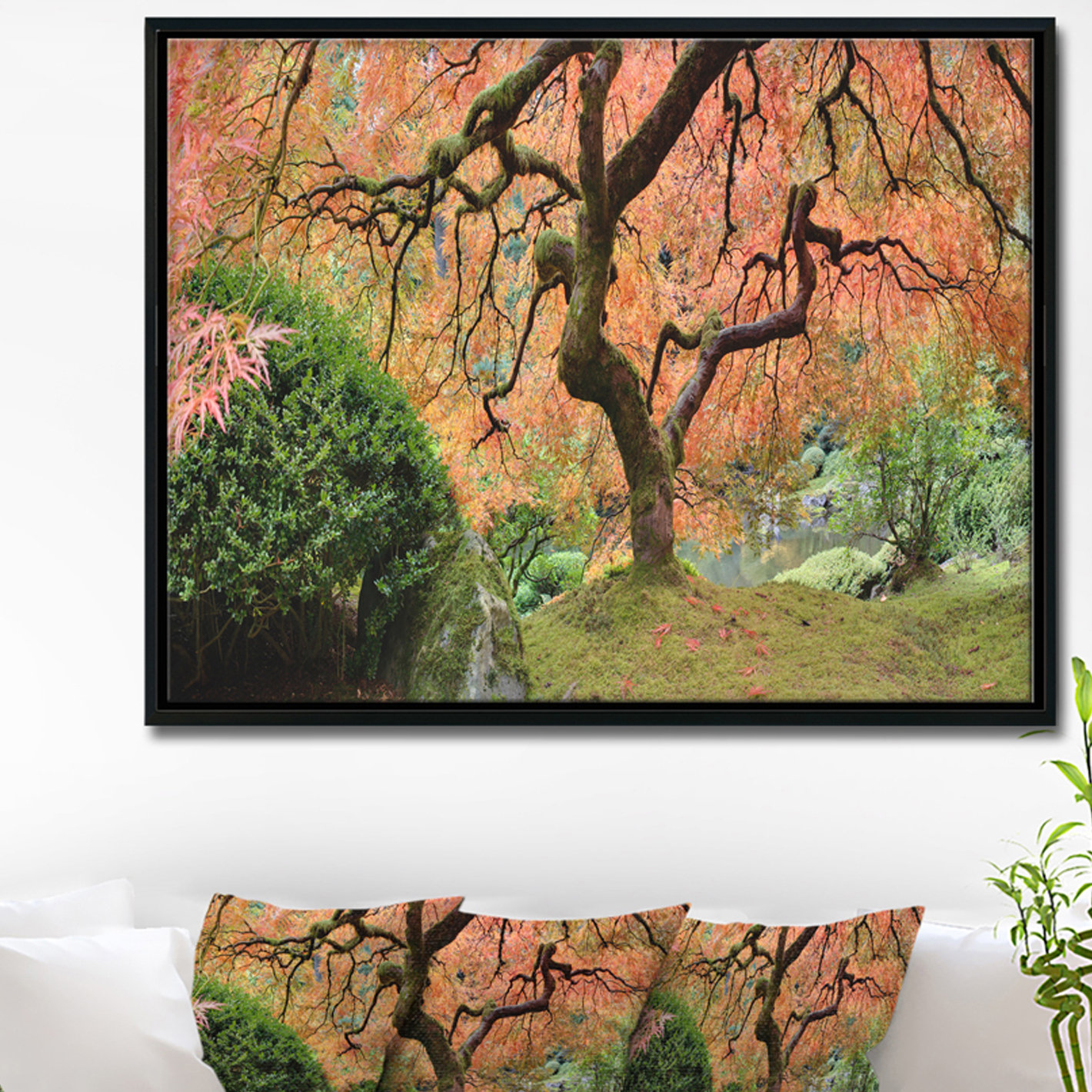 East Urban Home " Old Japanese Maple Tree " | Wayfair
