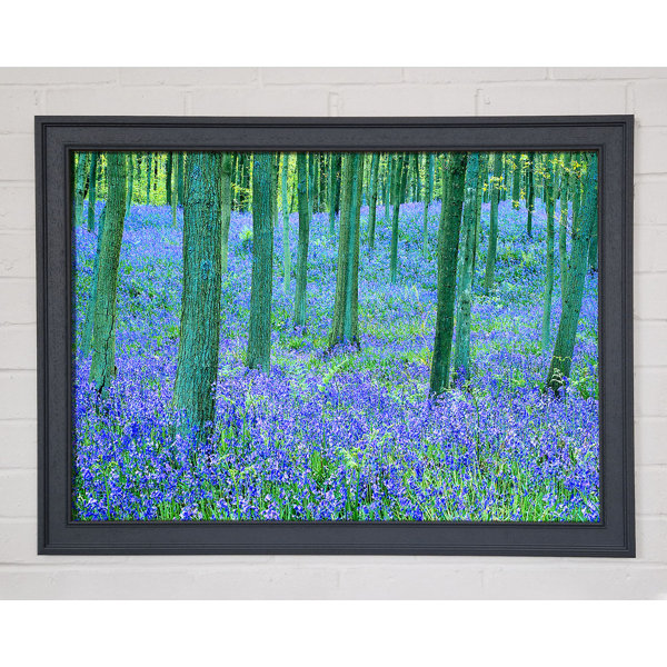 Union Rustic Bluebells In The Forest - Single Picture Frame Print ...