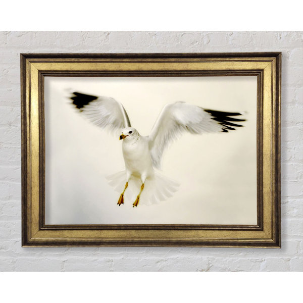 Bright Star Single Picture Frame Art Prints | Wayfair.co.uk