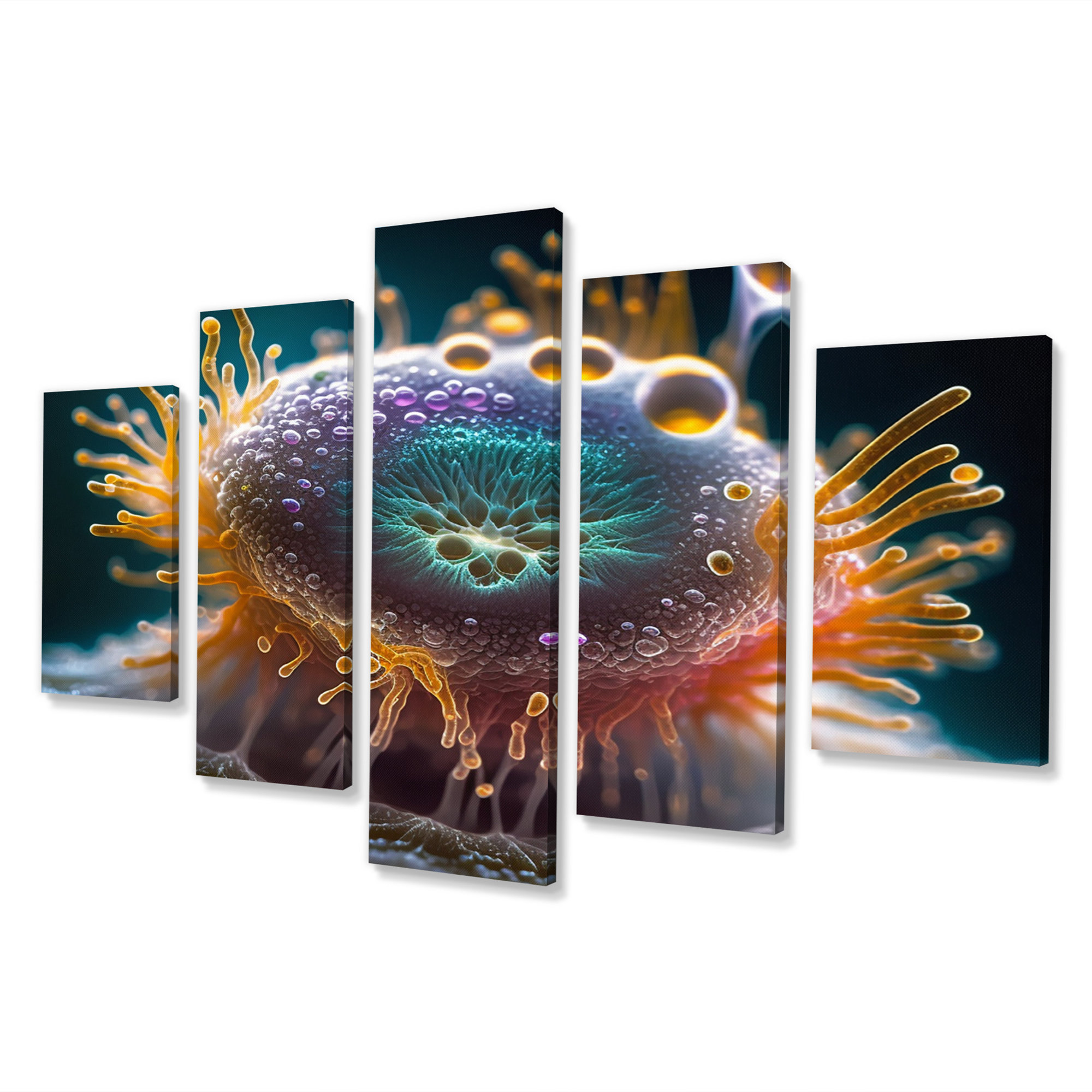 Rosecliff Heights Macro Photography Of Marine Cells V - Marine Animals ...