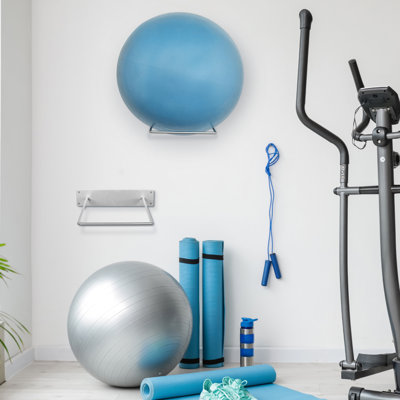 Rebrilliant Metabel Metal Wall Mounted Yoga Ball Sport Rack | Wayfair