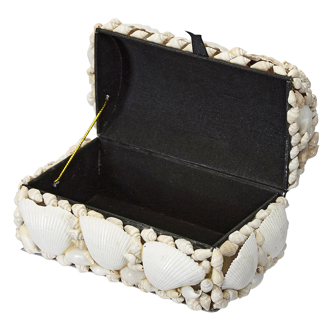 Rosecliff Heights Seashell Treasure Box | Wayfair
