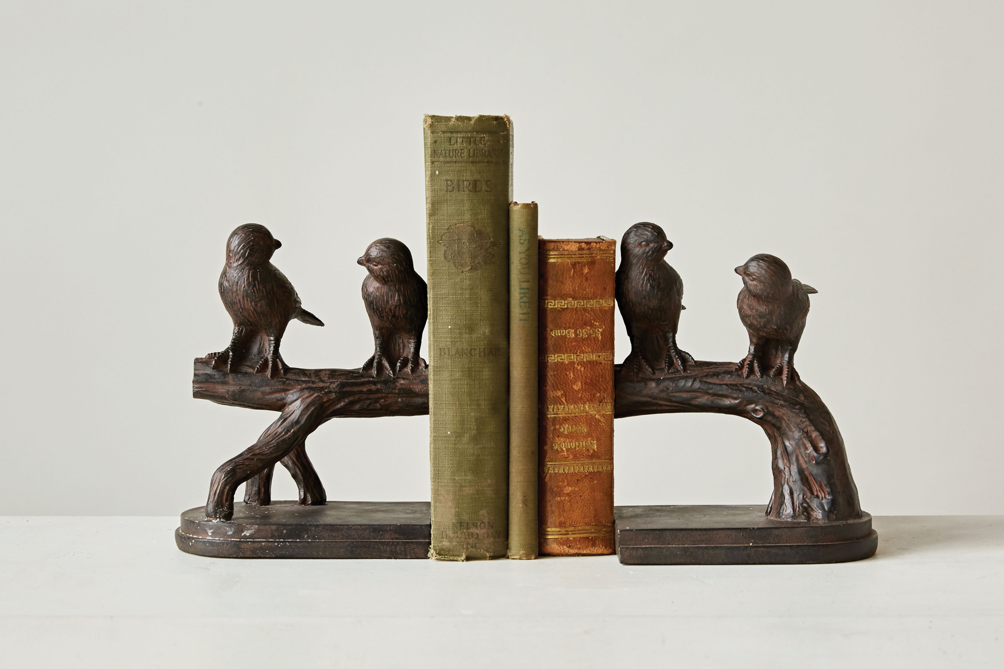 Charlton Home Decorative Resin Bird on Branch Bookends & Reviews ...