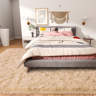 Ebern Designs Shag Area Rugs for Living Room, Soft Fluffy Rugs for ...