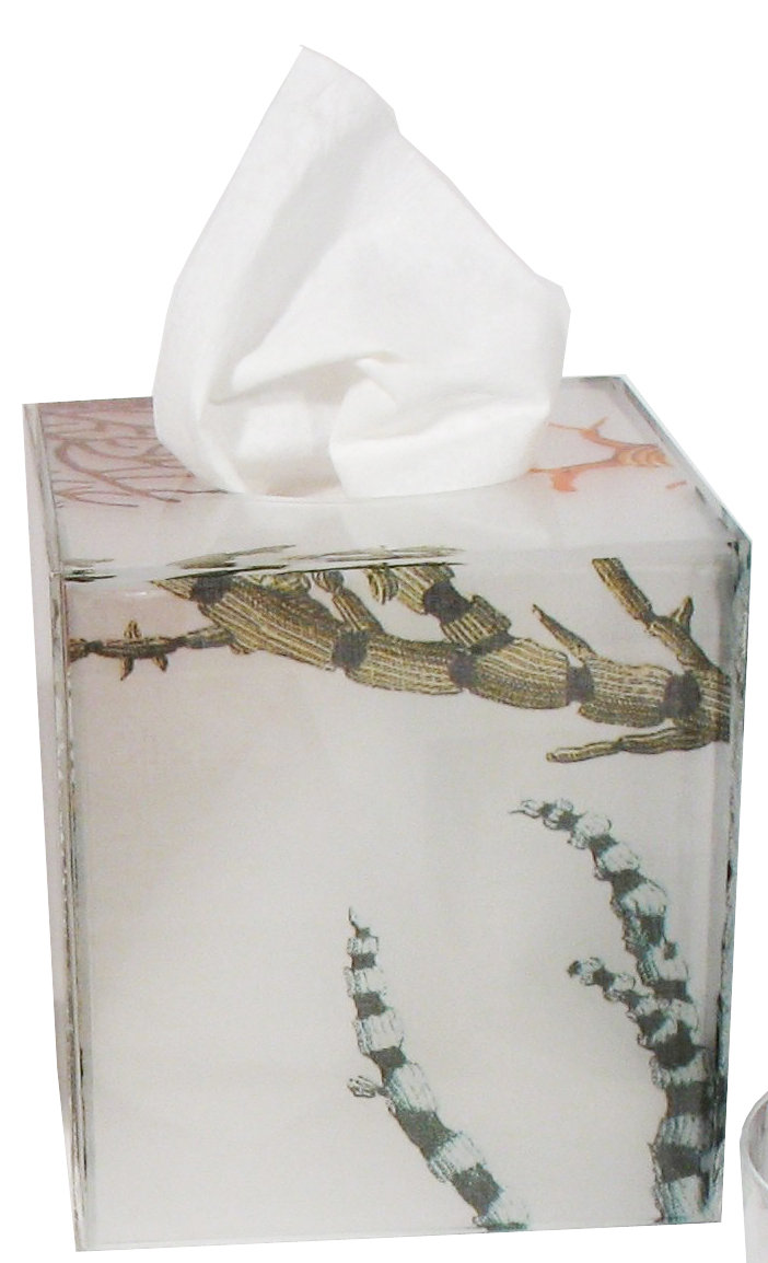 Oggetti Neptune Tissue Holder - Wayfair Canada